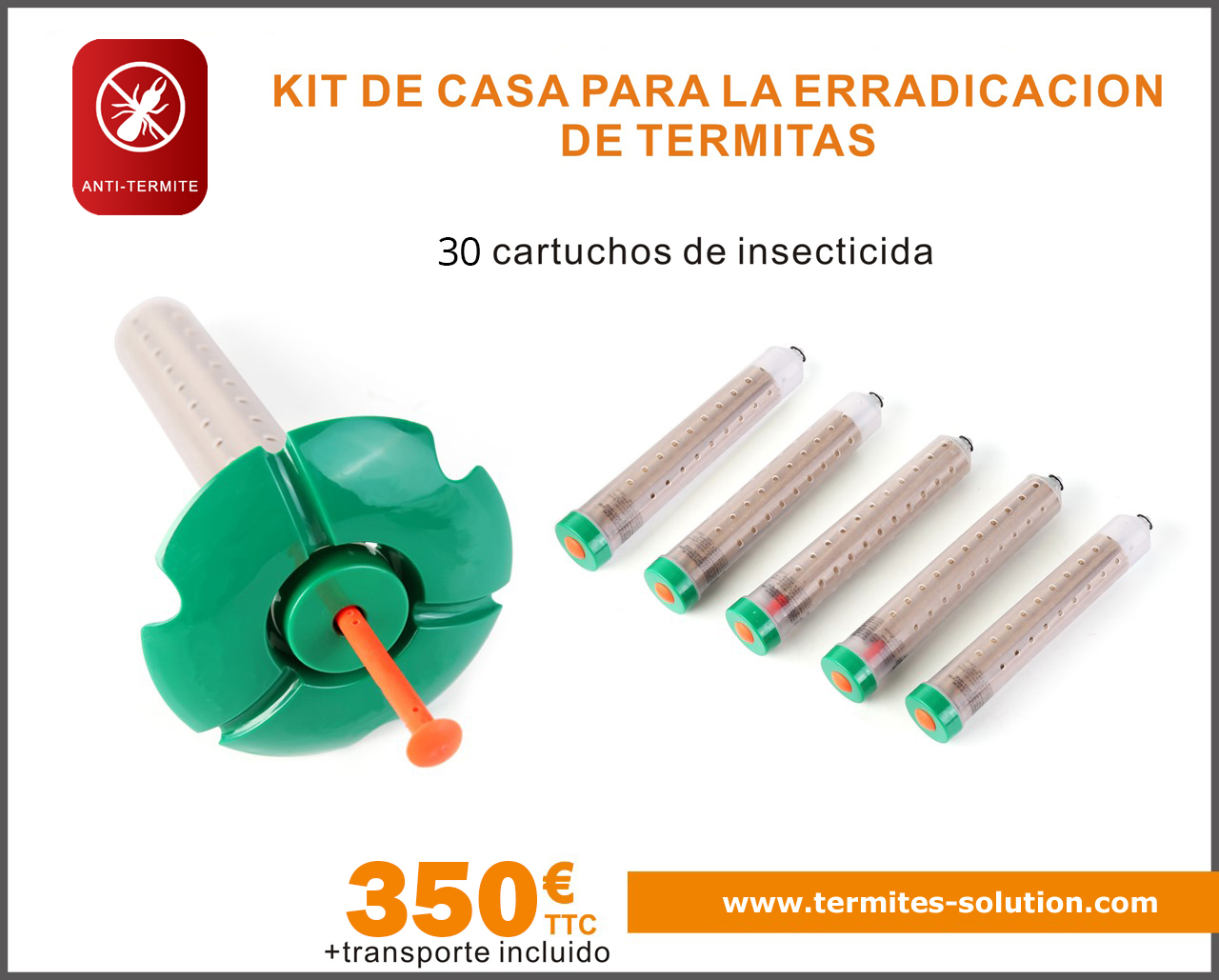 Tratamiento de termitas - Destrucción de termitas - Erradicación termitas