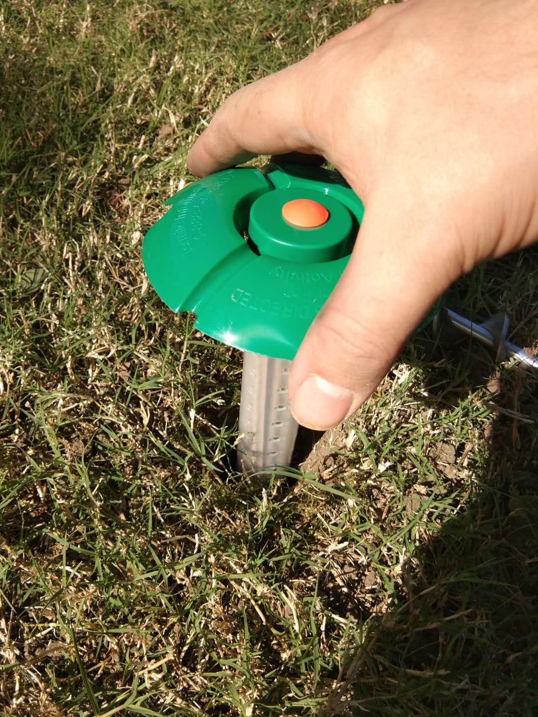 Traitement Hexaflumuron - Destruction de colonie de termites